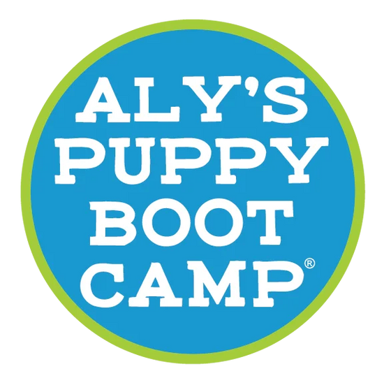 Dog Bite Levels & Aggression in Dogs: Understanding the Ian Dunbar Bit