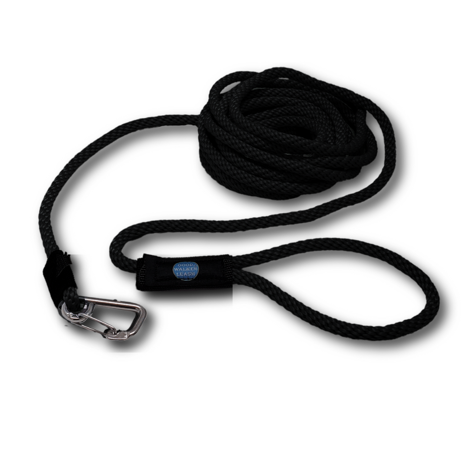 Home page [alyspuppybootcamp.com]